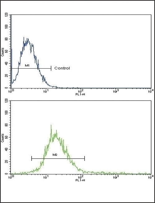 RECK Antibody - Cat. No. 63-860 | ProSci